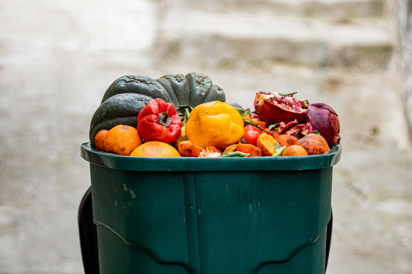 Let's talk food waste - Vegetarian Society