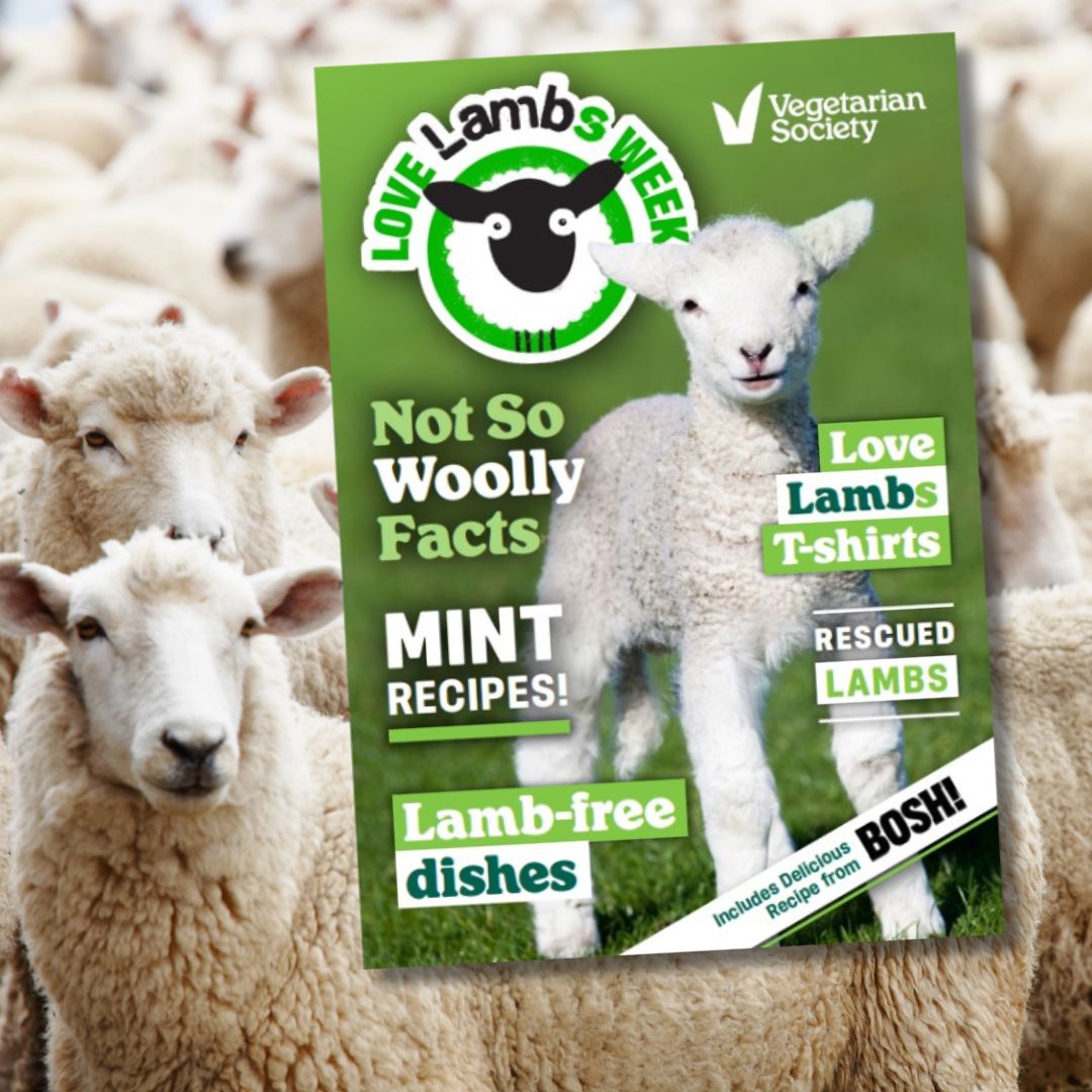Love Lambs Week, 1st–7th September 2024 - Vegetarian Society