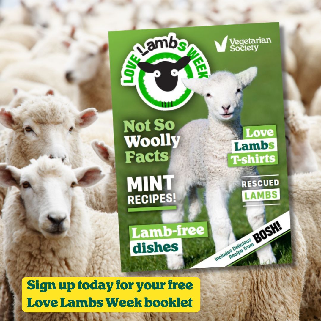 Love Lambs Week, 1st–7th September 2024 - Vegetarian Society